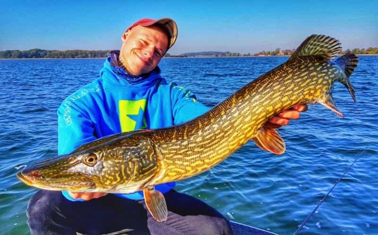 Person Dr. Christian Zippel | AMOR FATI